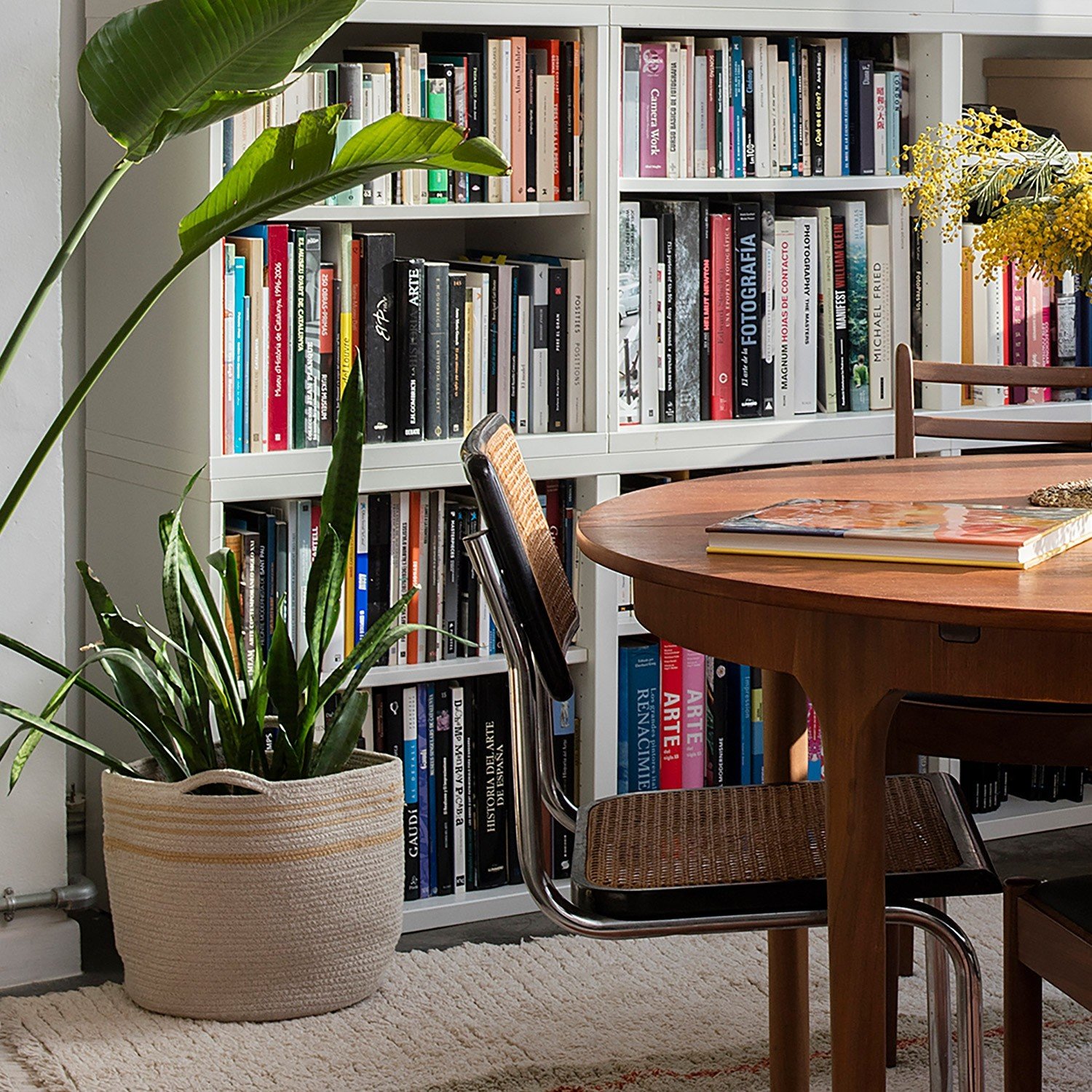 Lorena Canals Baumwollkorb - Wallenfels Onlineshop | wallenfels.com